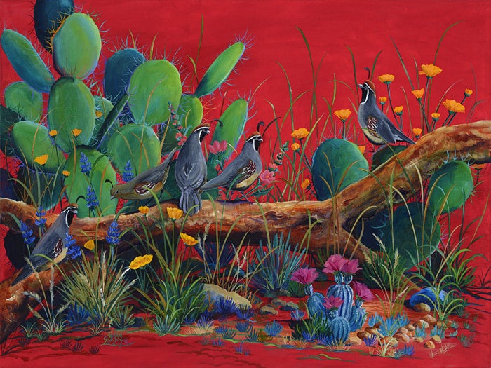 Everyday Boxed Cards, "Desert Choir" (Box of 10 Greeting Cards with ...