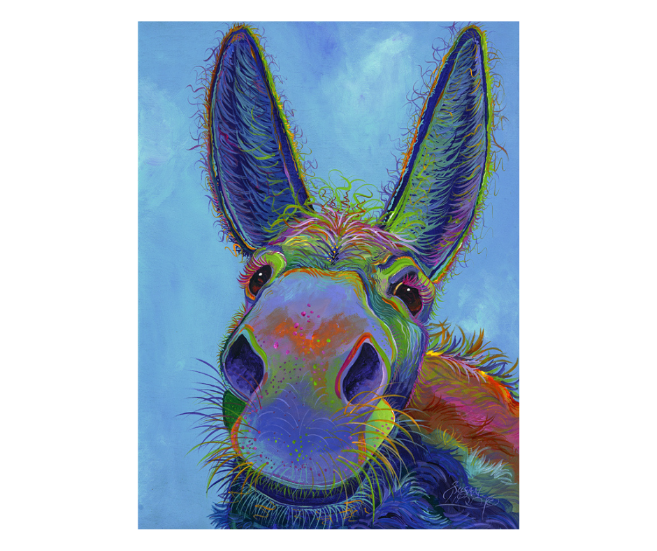 Boxed Cards | Susan Libby