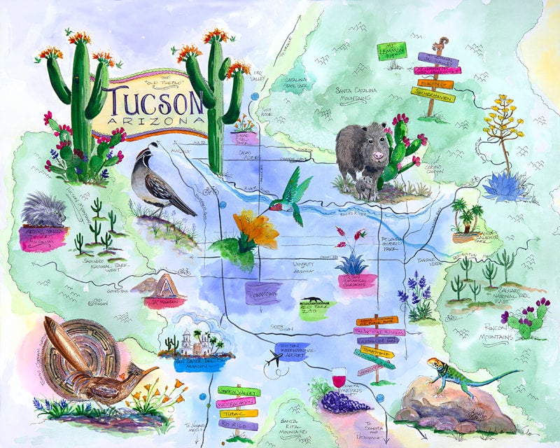 Greetings from Tucson, Box of 10 Greeting Cards with Envelopes, blank ...