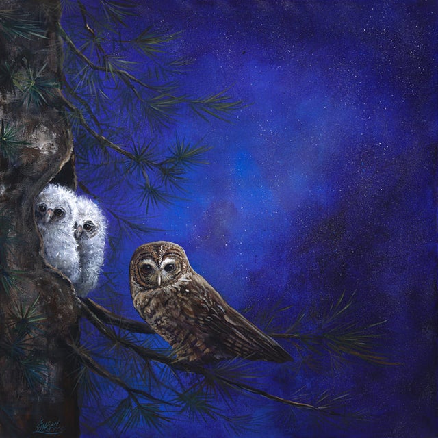 "Silent Night" box of ten holiday cards